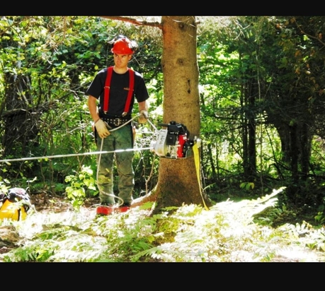 Portable Winch - Tree Mount Winch Anchoring System With Rubber Pads ...