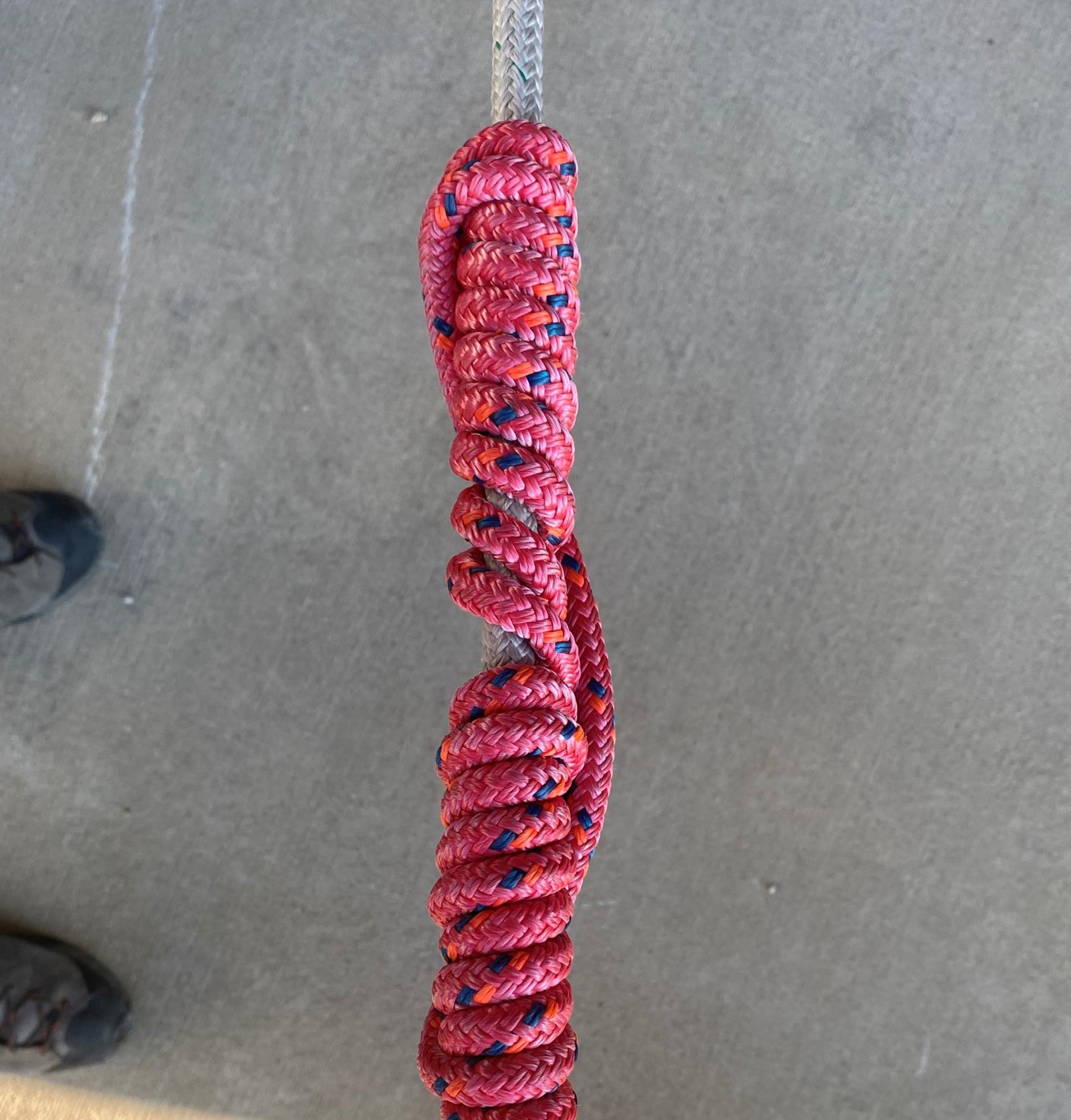 D2 Double Loop Prusik - Lowest prices & free shipping | Maple Leaf Ropes