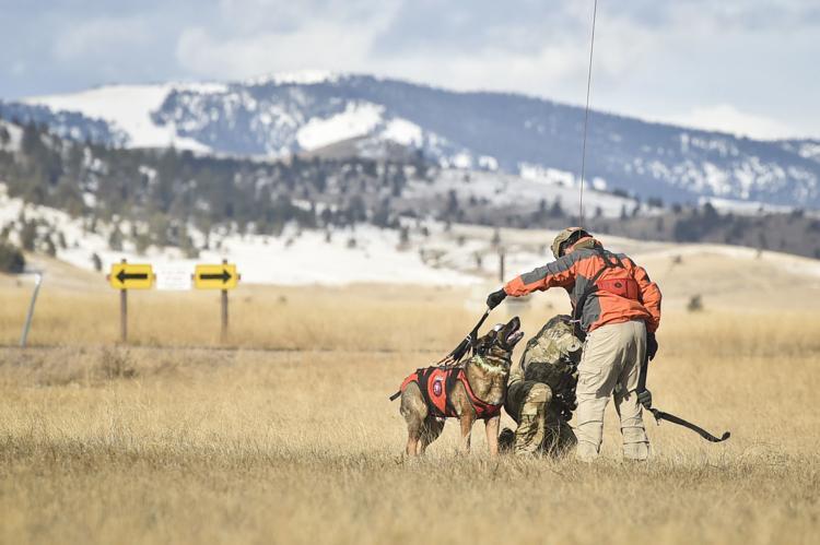 RNR Dog Lift Harness - Lowest prices & free shipping | Maple Leaf Ropes