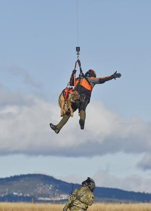 RNR Dog Lift Harness - Lowest prices & free shipping | Maple Leaf Ropes